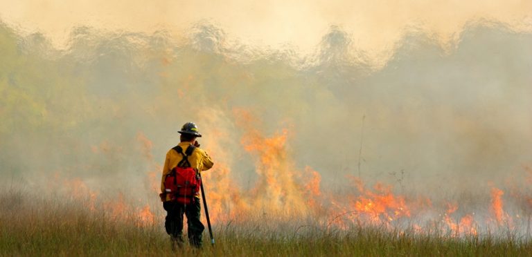 What is a Heat Wave? What Causes Them and More Heat Wave Facts